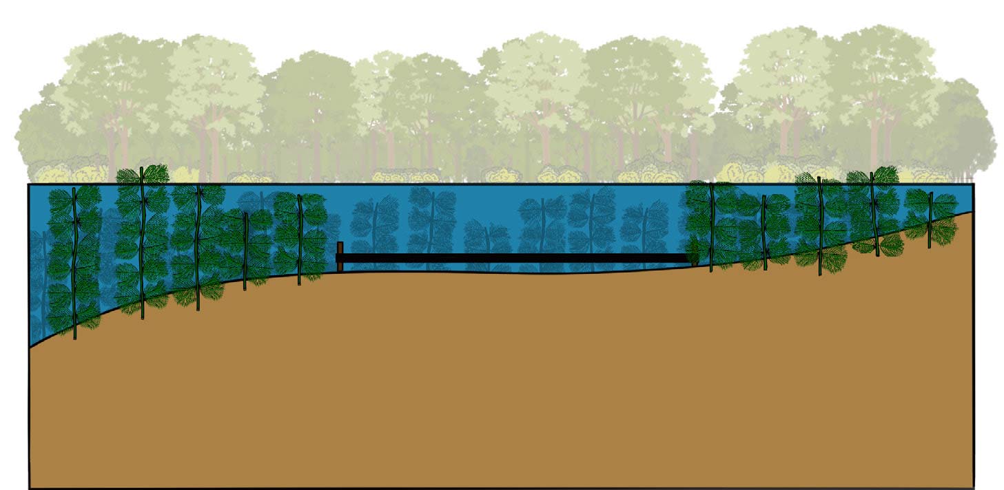 Freshwater Strategies Viewer | Cape Cod Commission
